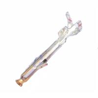 China TE Connectivity 1-770988-1 for sale