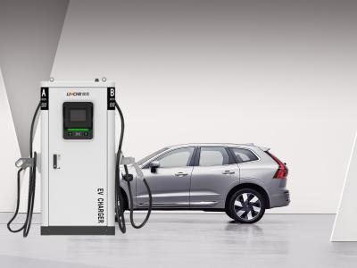 China Car Dual EV Charging Station Companies 120kW 30kw 200V 1000V for sale