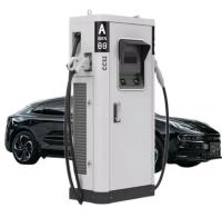 China Rapid External Electric Car Public Charging Points 60kW for sale