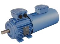 China IECEx W21 Series Ultra High Efficiency IE4 Motor Energy Saving Long Lifespan for sale