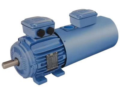 China IECEx W21 Series Ultra High Efficiency IE4 Motor Energy Saving Long Lifespan for sale
