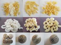 China 100-300kg/h Wheat Flour Macaroni Making Machine with Full Automation and Efficiency for sale