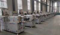 China 500 kg/h Artificial Fortified Rice Making Processing Machine for Manufacturing Plant for sale