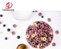 China 2-3 Workers Operate Small Scale Snack Food Processing Machines for Snacks Production for sale