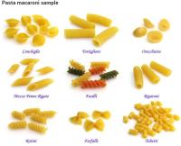 China 2000 KG Fully Automatic Macaroni Pasta Production Line Spaghetti Food Making Machine for sale