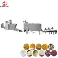 China Engine Core Components Automatic Fortified Rice Production Equipment Artificial Rice Production Line for sale