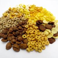 China Stainless steel corn flakes production line machinery with automatic extrusion craft for sale