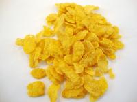 China Stainless steel corn flakes production line machinery with automatic extrusion craft for sale