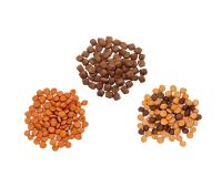 China Automatic Pet Snack Dog Food Production Machine with and Video Outgoing-Inspection for sale