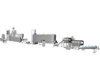 China Delicious Tasty Corn Chips Production Line Equipment for Mouthwatering Crisps in 2021 for sale