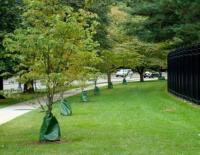 China Green 25 Gallon Tree Watering Bags For Watering Newly Planted Trees Self Watering Tree Bags for sale