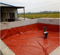 China Double Membrane Biogas Storage Tank Flexible Above Ground Storage Tank  For Cooking Fuel for sale