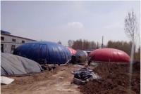 China Flame Retardant Methane Storage Tank Red Tarpaulin With Large Capacity 10000L Liquid Containment Fuel Bladder for sale