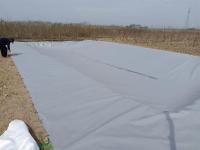 China PVC Tarpaulin Foldable Agricultural Rainwater Collection Bladder for sale