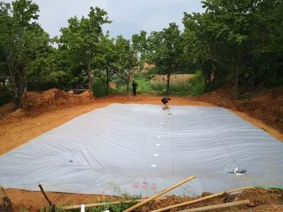 China PVC Tarpaulin Foldable Agricultural Rainwater Collection Bladder for sale