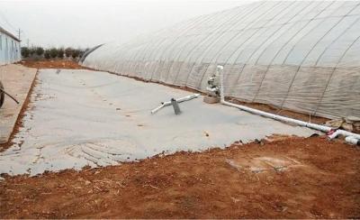 China Greenhouse Rainwater Collection PVC Tarpaulin Water Storage Tank for Farming Irrigation for sale