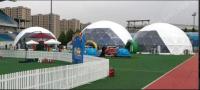 China 20M  PVC Geodesic Dome Strong Structure Steel Party Tent Transparent  Wedding Tent for sale