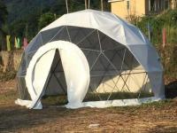 China 5M Luxury Geodesic Dome Tent With Steel Pipes And Transparent Cover Dome Party Tents for sale