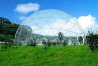 China 4M - 10M PVC Cover Metal Frame Garden Clear Geodesic Dome Tent For Sale Dome Party Tents for sale