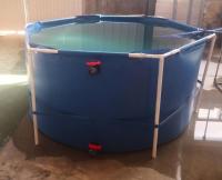 China 5000 L Collapsible Round Tarpaulin Fish Tank Environmental Protection PVC Fish Pond for sale