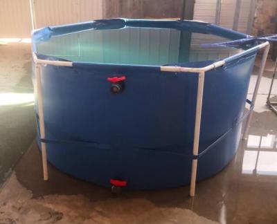 China 5000 L Collapsible Round Tarpaulin Fish Tank Environmental Protection PVC Fish Pond for sale