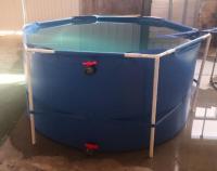 China 5000 L Collapsible Round Tarpaulin Fish Tank Environmental Protection PVC Fish Pond for sale