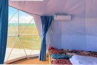 China 100km/H Wind Load 30M Waterproof PVC Geodesic Dome Tent Dome Camping Tent Dome Party Tents for sale
