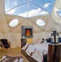 China 7M Camping Clear Geodesic Dome Tent With Insulation Dome Party Tents Outdoor Dome Tent for sale