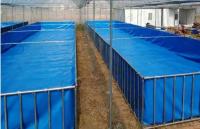 China 5000L Foldable 0.9mm PVC Tarpaulin Fish Tank For Fish Farm Fish Pond Plastic Tank Diy Fish Pond for sale