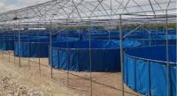 China 5000L Foldable 0.9mm PVC Tarpaulin Fish Tank For Fish Farm Fish Pond Plastic Tank Diy Fish Pond for sale