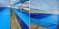 China 5000L Foldable 0.9mm PVC Tarpaulin Fish Tank For Fish Farm Fish Pond Plastic Tank Diy Fish Pond for sale