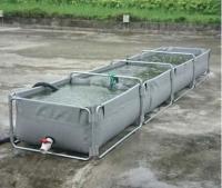 China Collapsible 3000L 0.9mm PVC Tarpaulin Fish Tank Fish Pond Plastic Tank Diy Fish Pond for sale