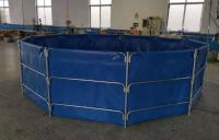 China 4m Diameter Foldable PVC Tarpaulin Tilapia Fish Farming Tank Collapsible Fish Tank for sale