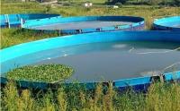 China 50000L Flexible Foldable 0.9mm PVC Tarpaulin Fish Tank Outdoor Fish Pond Diy Fish Pond for sale
