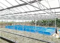 China Collapsible 0.9mm PVC Tarpaulin Fish Pond 30000L Fish Pond Plastic Tank Diy Fish Pond for sale