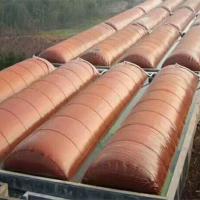 China 1.2mm PVC Coated Tarpaulin 800 Tons Biogas Digester Biogas Storage Tank Methane Gas Tank for sale