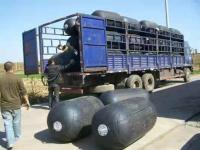 China Anti Abrasion Inflatable Rubber Boat Fenders Pneumatic Defense for sale