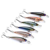 China 6 Colors 5CM/2.2G 10#Hooks Mullet,Perch,Catfish Plastic Hard Bait 0.1m-0.3m floating Minnow Fishing Lure for sale