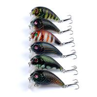 China 6 Colors 5.3CM/9g 6#Hooks 3D Eyes Plastic Painting Bait 0.30m-0.9M Floating Crank Fishing Lure for sale