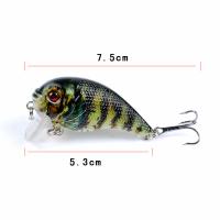 China 6 Colors 5.3CM/9g 6#Hooks 3D Eyes Plastic Painting Bait 0.30m-0.9M Floating Crank Fishing Lure for sale