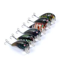 China 6 Colors 5.3CM/9g 6#Hooks 3D Eyes Plastic Painting Bait 0.30m-0.9M Floating Crank Fishing Lure for sale