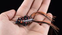 China 5 Colors  4.20 CM/5.80g Frog Soft Lure Mullet Snakehead Fish Bait Fishing Lure for sale