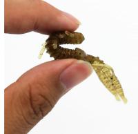China Bamboo Shrimp Silicone Prawn Soft Lures Fishing 7.2CM/1.8g 10PCS/Bag for sale