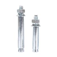 China Stainless Steel Hot Dip Galvanized Sleeve Anchors Bolts Grade 8.8 Expansion Screw for sale