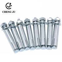 China Hot Dip Galvanized Sleeve Anchor Bolts Metal Expansion Screw Custom Size for sale