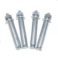 China Hot Dip Galvanized Sleeve Anchor Bolts Metal Expansion Screw Custom Size for sale