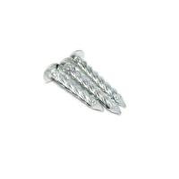 China Galvanized Carbon Steel Self Drilling Screw Threaded Nails for Roof Top 8mm for sale