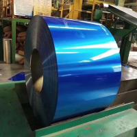 China Prepainted Galvanized Steel Coil 0.12-1.20mm Color Coated Metal Sheet Custom RAL Colors for sale