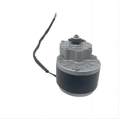 China 36 48v 24 Volt Dc Motor For Bicycle 250 350 500w 3000rpm for sale