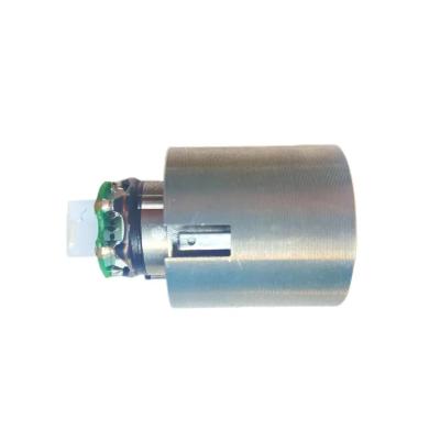 China 3V Brushless DC Motor High Speed Hair Dryer Motor BLDC Go-Gold for sale